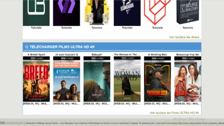 Wawacity : comment accéder au site officiel en 2025